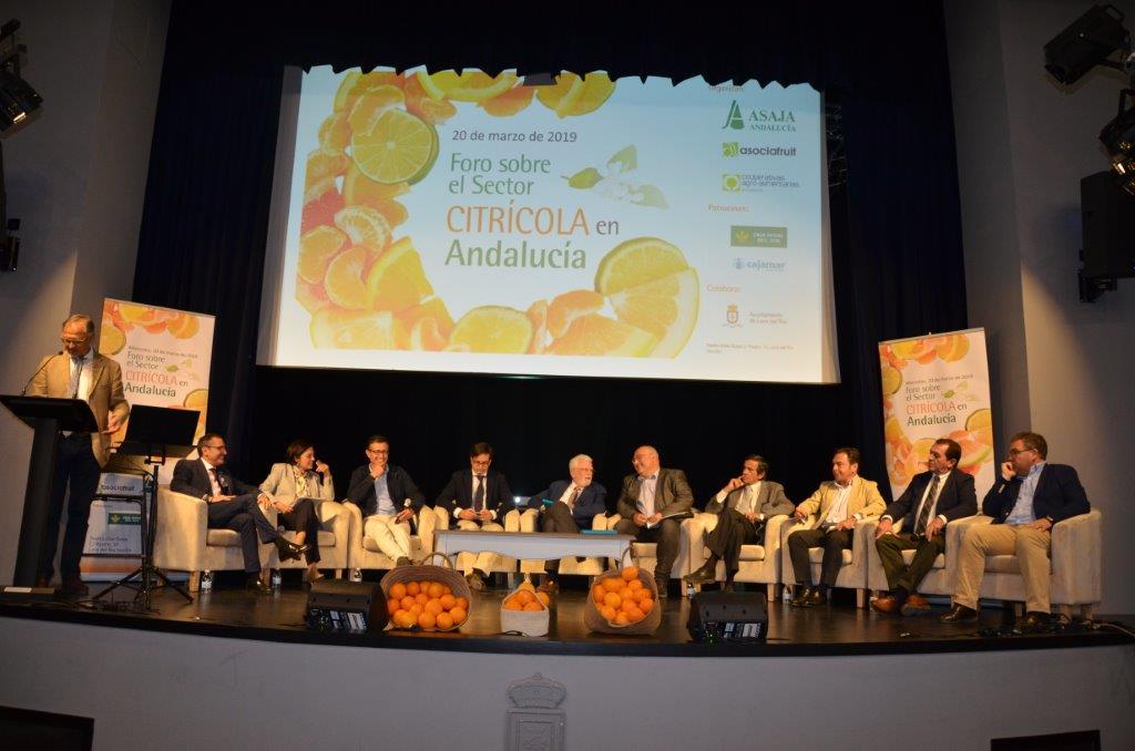Asaja El Gobierno Andaluz Y El Sector Citrícola Regional Reclaman Una
