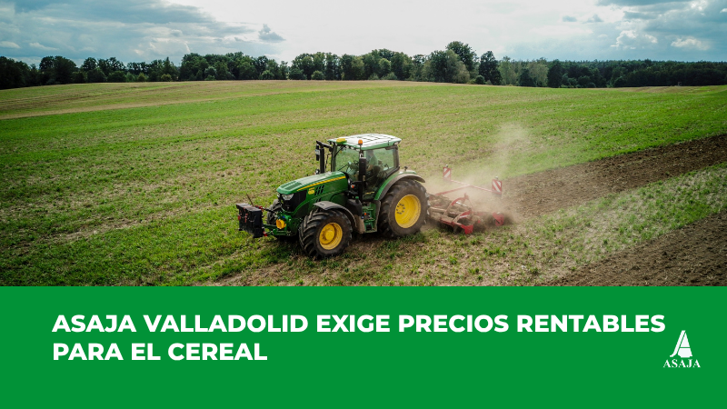 ASAJA Valladolid exige precios justos para el cereal y el cumplimiento ...